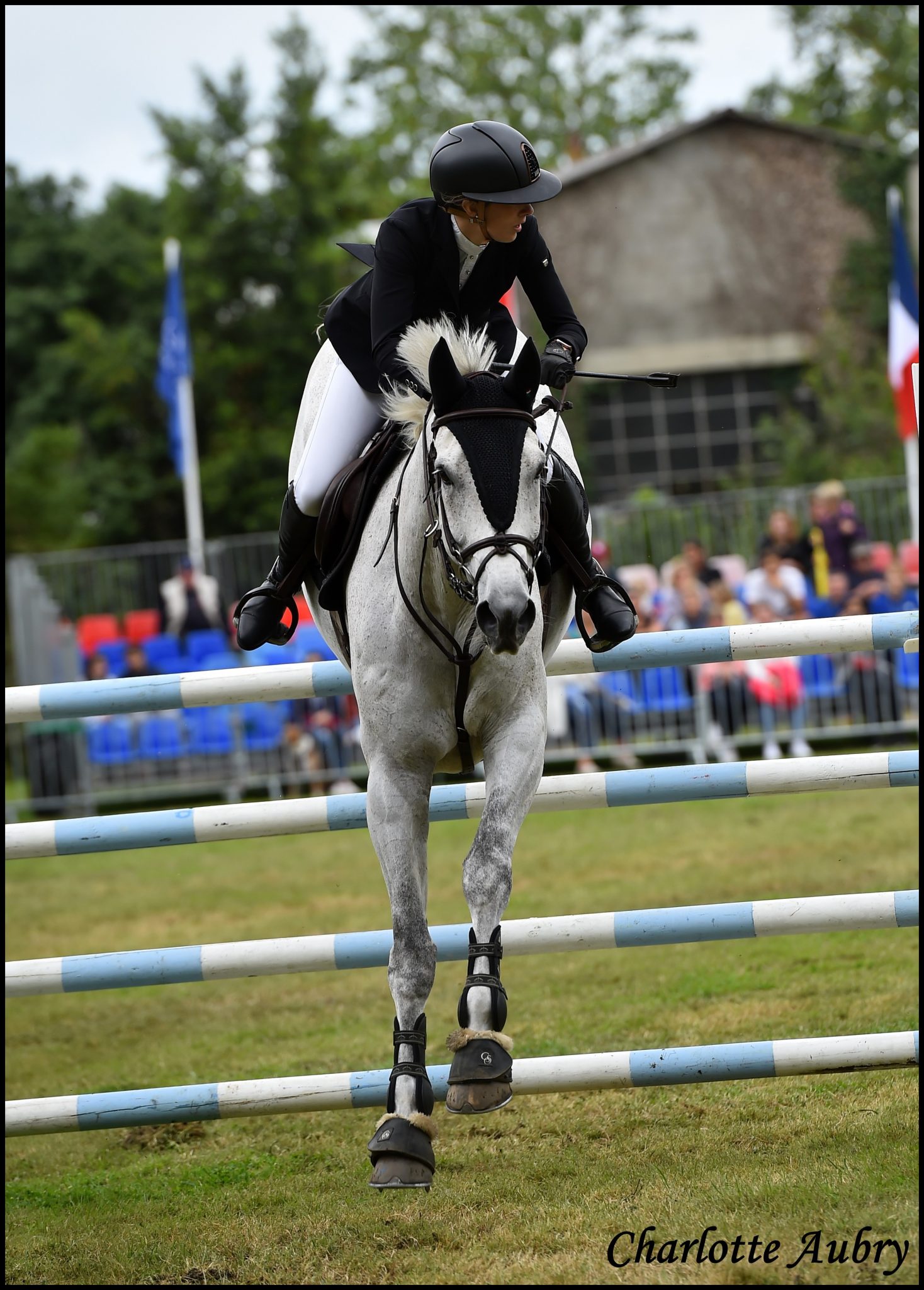 Prestations - Charlotte AUBRY Photographe Équestre